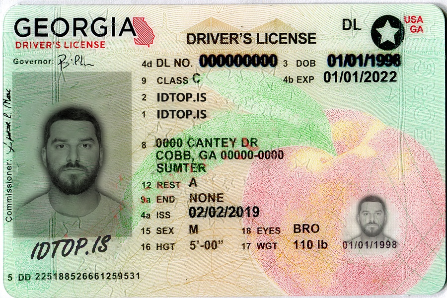 Georgia Drivers License Hologram Copperver