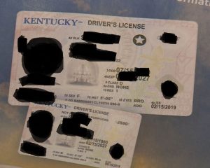 Kentucky Fake ID | Buy Scannable Fake IDs | IDTop